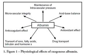 What is Albumin? | Livers With Life